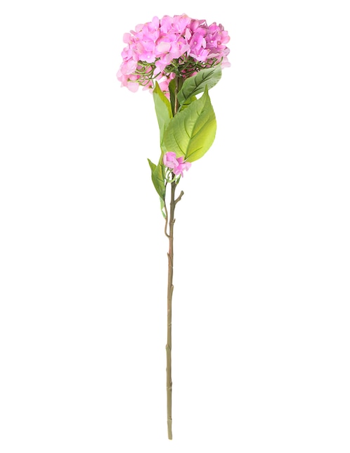 Hortensia Crown Atuna 1
