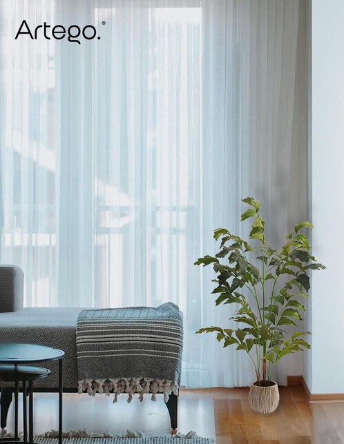 Planta Artego Caryota Fishtail 7