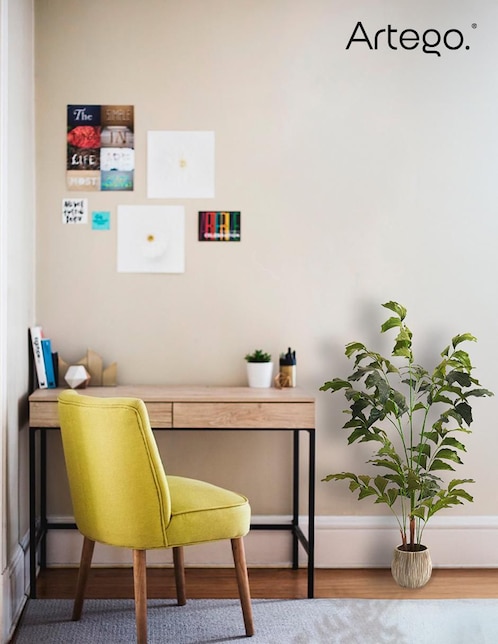 Planta Artego Caryota Fishtail 8