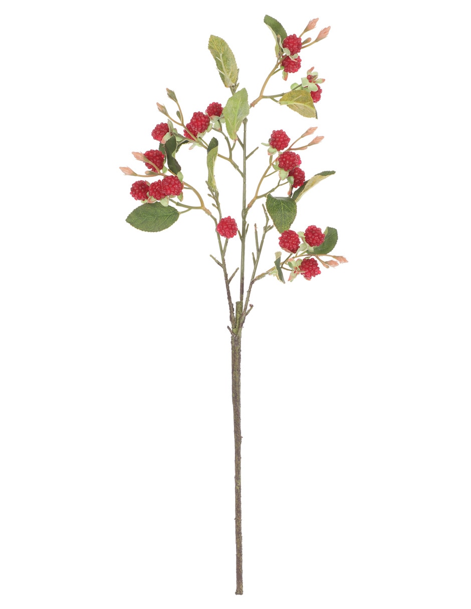 Berries decorativa Haus